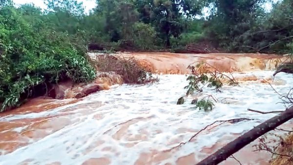 Poornaiah Canal gives the wake-up call - Star of Mysore