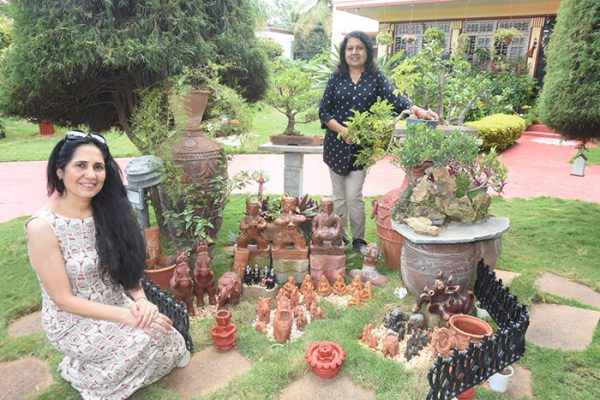 Uncrowned Queen of Gardening - Star of Mysore