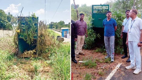 Leopard scare around RBI campus - Star of Mysore
