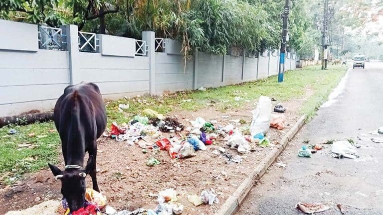 Artwork transforms garbage spot into beautiful walkway - Star of Mysore
