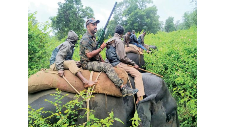 Forest Department’s sharp-shooter officer - Star of Mysore