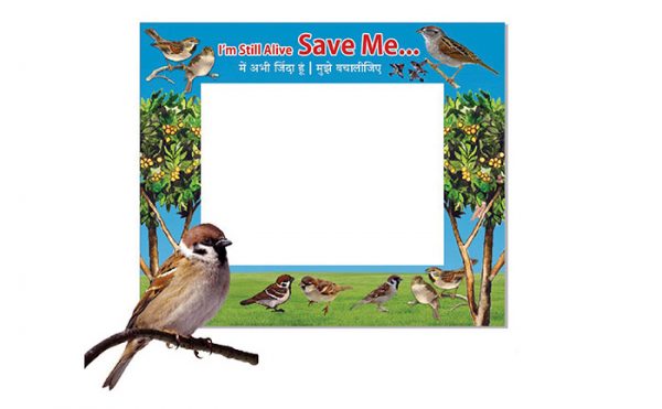 Awareness event to save sparrows in urban space - Star of Mysore