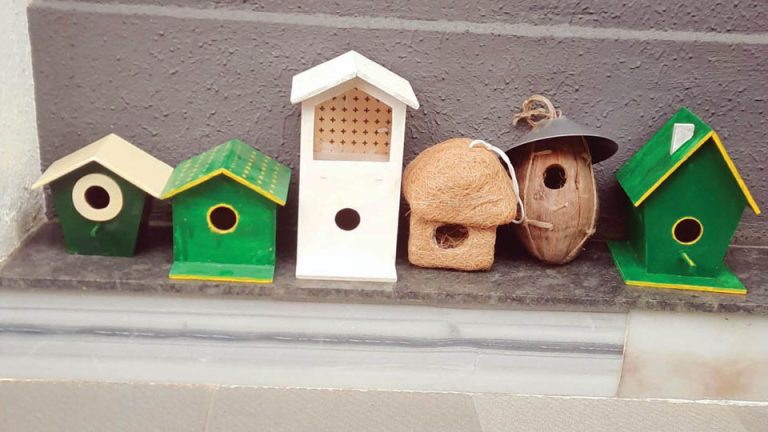 Awareness event to save sparrows in urban space - Star of Mysore