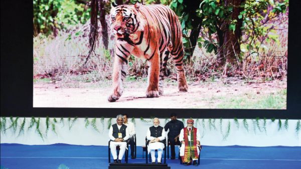 Commemorating 50 years of Project Tiger: PM inaugurates Intl. Meet ...