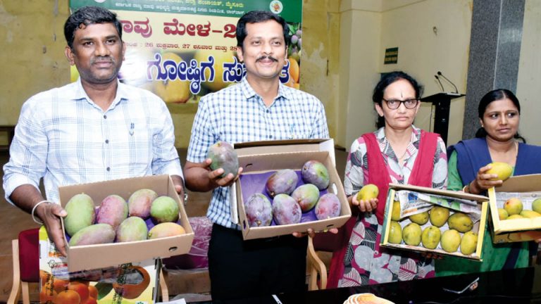 Three-day Mango Mela at Kuppanna Park from tomorrow - Star of Mysore