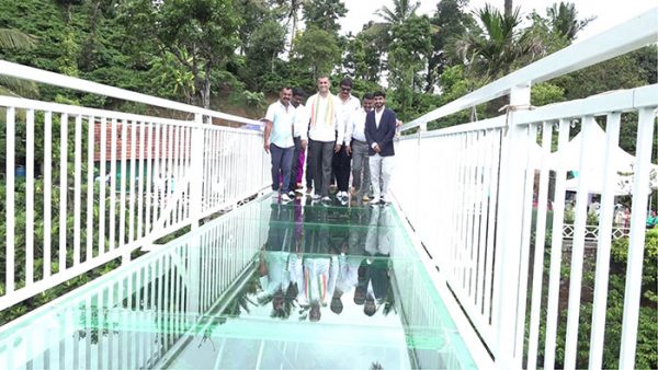Glass bridge in Kodagu offers thrilling encounter with nature - Star of ...