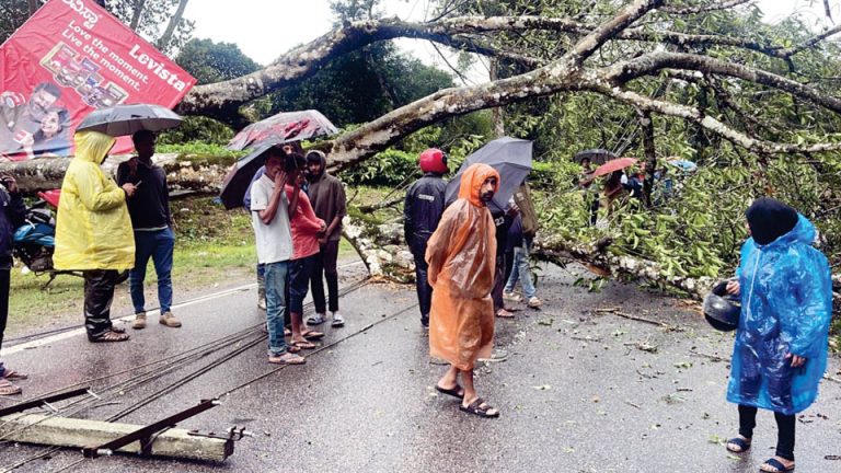 Monsoon picks up pace in Kodagu after a month - Star of Mysore