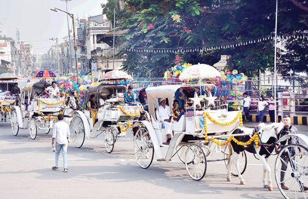 Couples enjoy Heritage Tonga ride - Star of Mysore