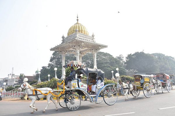 Couples enjoy Heritage Tonga ride - Star of Mysore