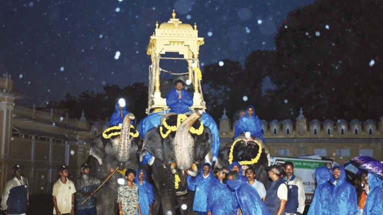 Abhimanyu begins training with Wooden Howdah - Star of Mysore