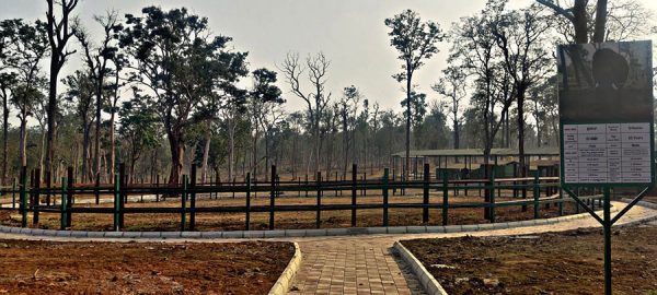 Mathigodu Elephant Camp in Kodagu now a tourist centre - Star of Mysore