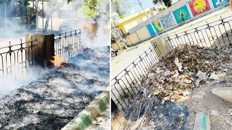 Poor maintenance of Public Parks - Star of Mysore