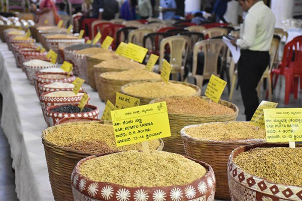 Desi Rice Mela begins in city - Star of Mysore