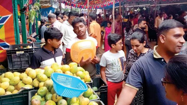 Mango Mela concludes - Star of Mysore