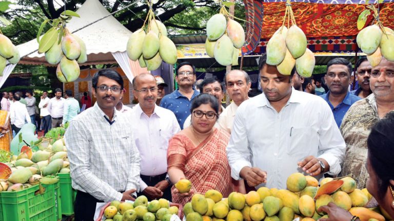 Mango & Jackfruit Mela begins - Star of Mysore