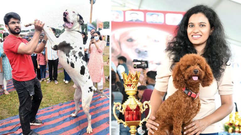 Furry friends steal the show - Star of Mysore