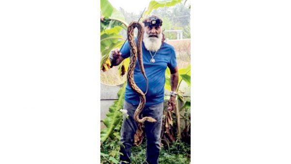 Snake Shyam warns of increased snake activity during mating season ...
