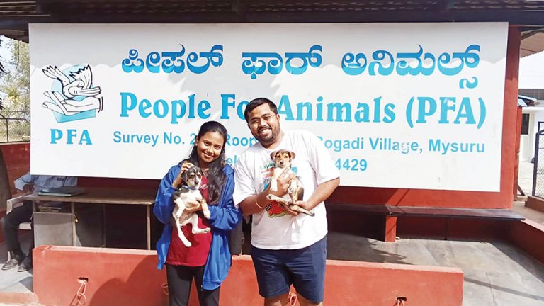Star Pups: We are adopted - Star of Mysore
