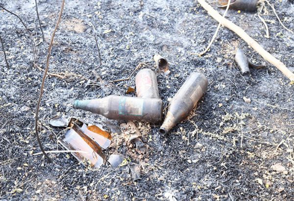 Scenic Bogadi Lake drowns in waste - Star of Mysore