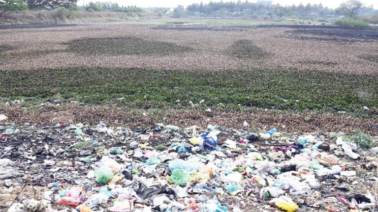 Scenic Bogadi Lake drowns in waste - Star of Mysore