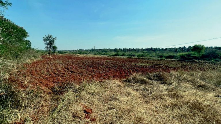 Cabinet to clear international cricket stadium for Mysuru - Star of Mysore