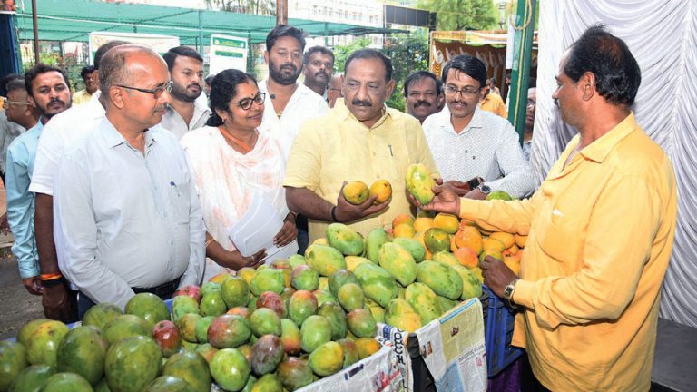 Mango Mela begins at Kuppanna Park - Star of Mysore