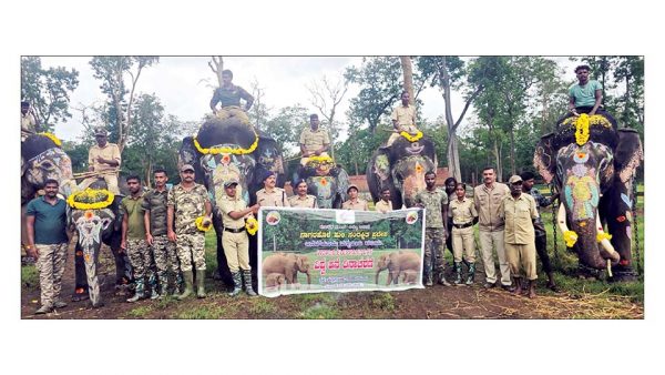 World Elephant Day today: Karnataka loses 380 elephants in 5 years ...