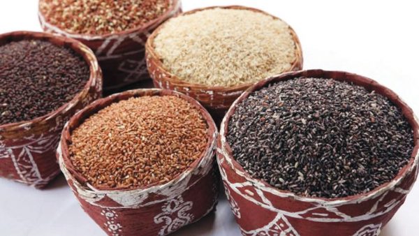 200 native rice varieties to be showcased at Desi Akki Mela - Star of ...