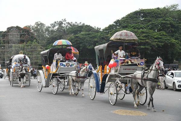 Couples enjoy Tonga Ride - Star of Mysore