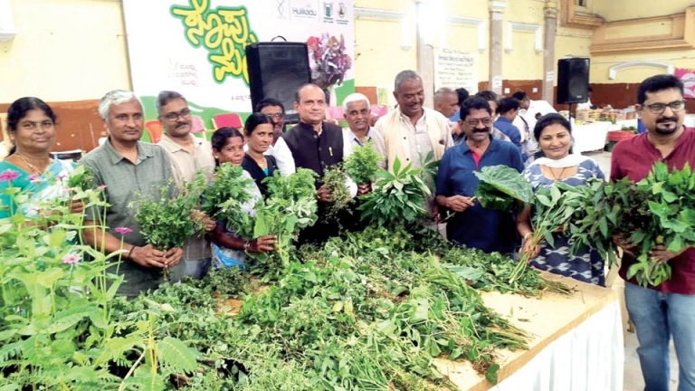 Soppu Mela begins - Star of Mysore