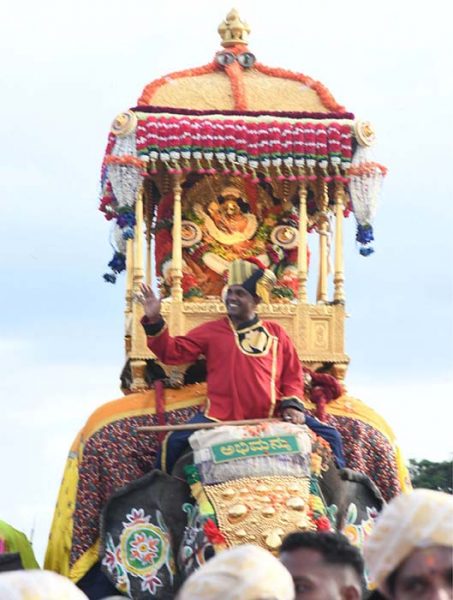 Golden Howdah mounted on Abhimanyu in 40 minutes - Star of Mysore