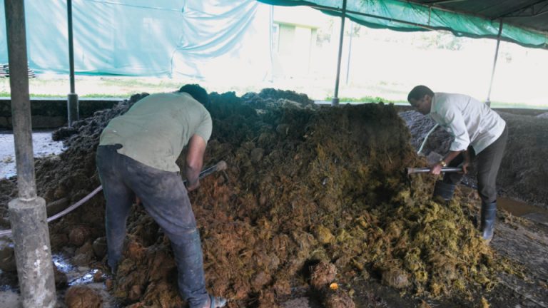 Poop Fortune - Sold at Rs. 15 per kg, demand for Zoo vermicompost ...