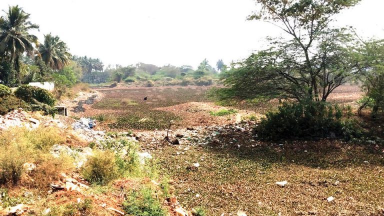 Chola-era Bogadi Lake near peril - Star of Mysore