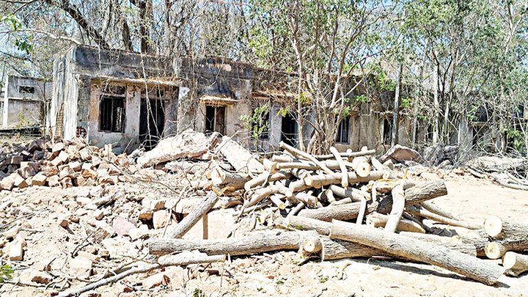 Environmentalists condemn felling of trees in Aranya Bhavan premises ...