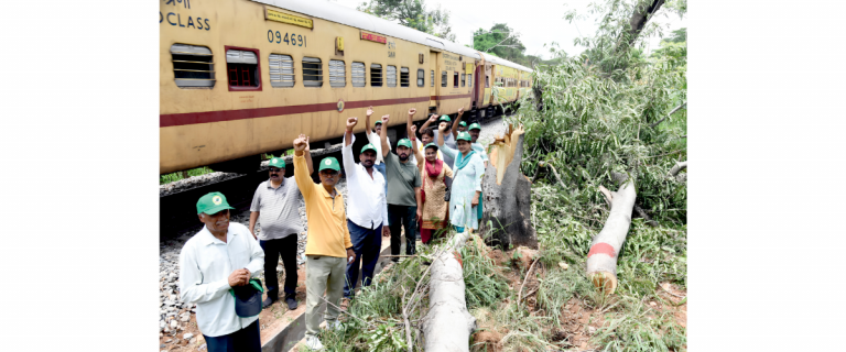 Over 30 trees felled along railway line; FIR ordered - Star of Mysore